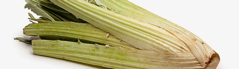 Propiedades del Cardo. Verdura de temporada otoño -invierno